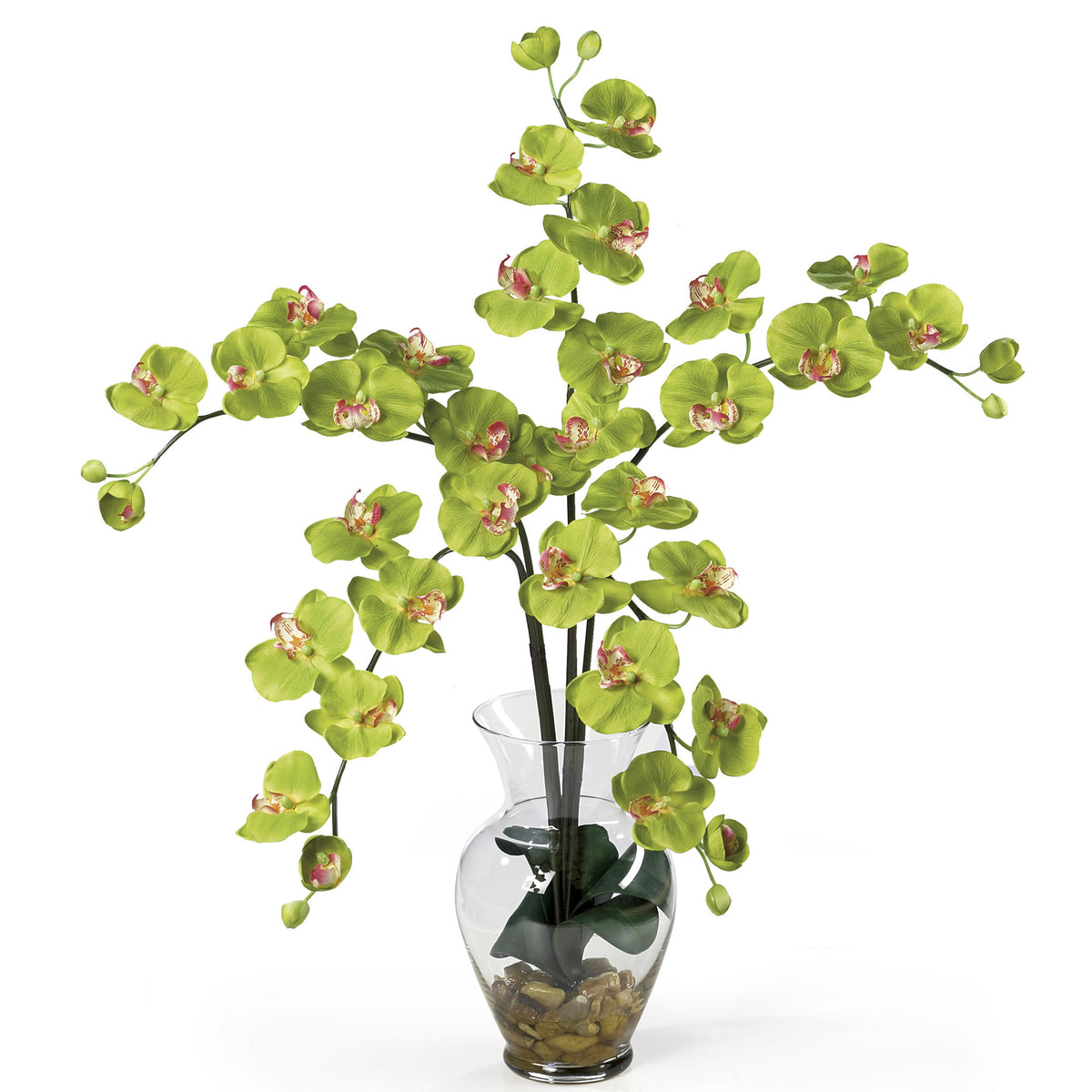 Five Stem Phalaenopsis Liquid Illusion Green by Nearly Natural - Zawadee